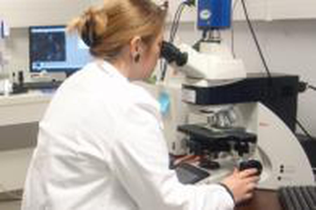 Syntivia crée des librairies de molécules