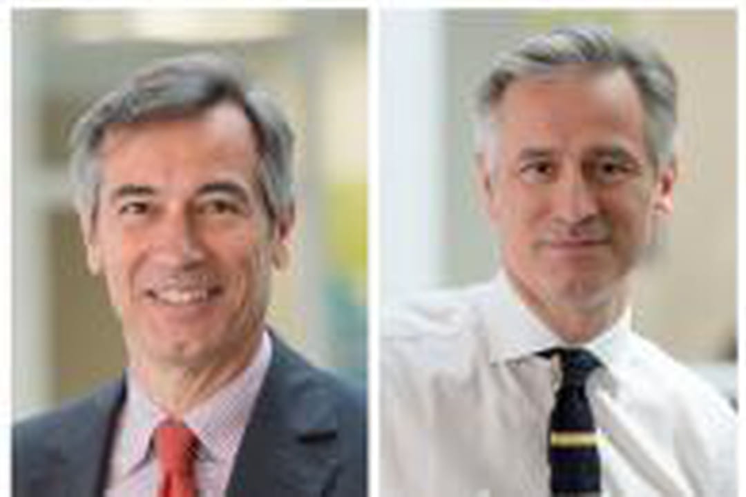 Godefroy et Stanislas de Bentzmann (Devoteam) : 590 000 et 595 000 euros