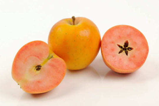 La pomme à chair rouge s'apprête à débarquer en France