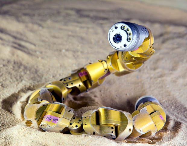 Snakebot, le robot serpent