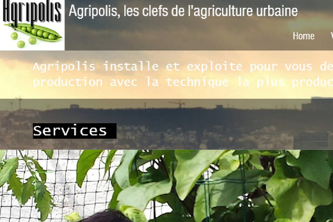 Agripolis installe des fermes en pleine ville