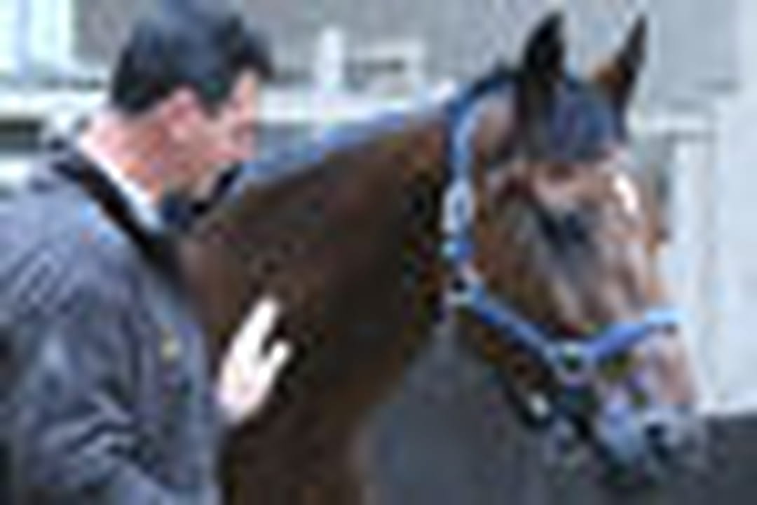 Devenir un meilleur manager grâce aux chevaux