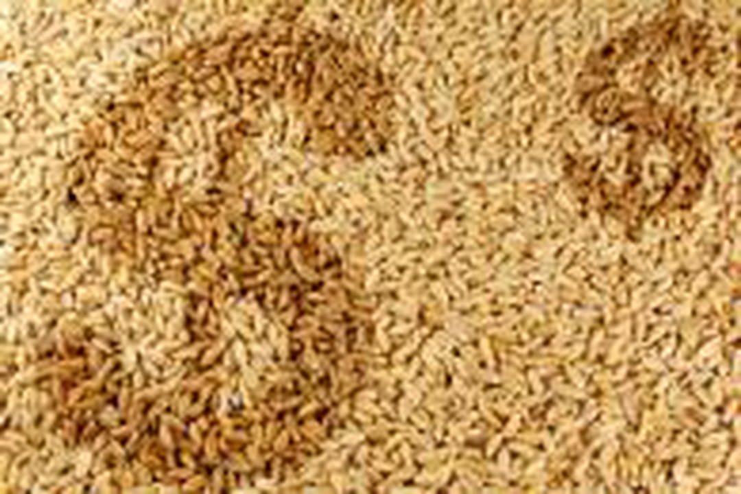 Produits agricoles : comment vont évoluer les prix