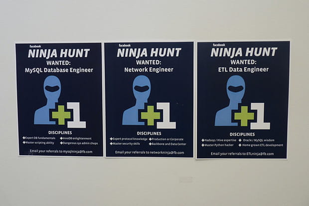 Opération Ninja Hunt