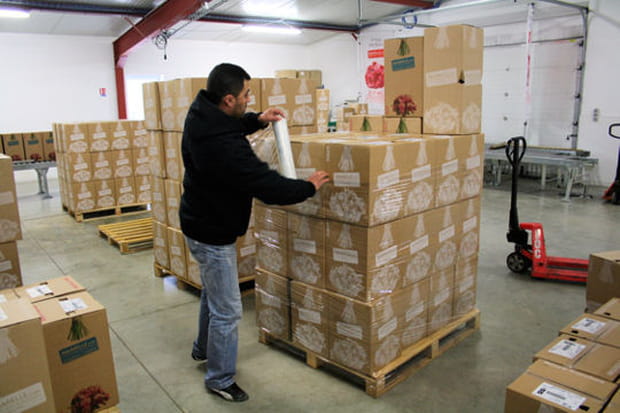 Les cartons sont répartis par transporteur