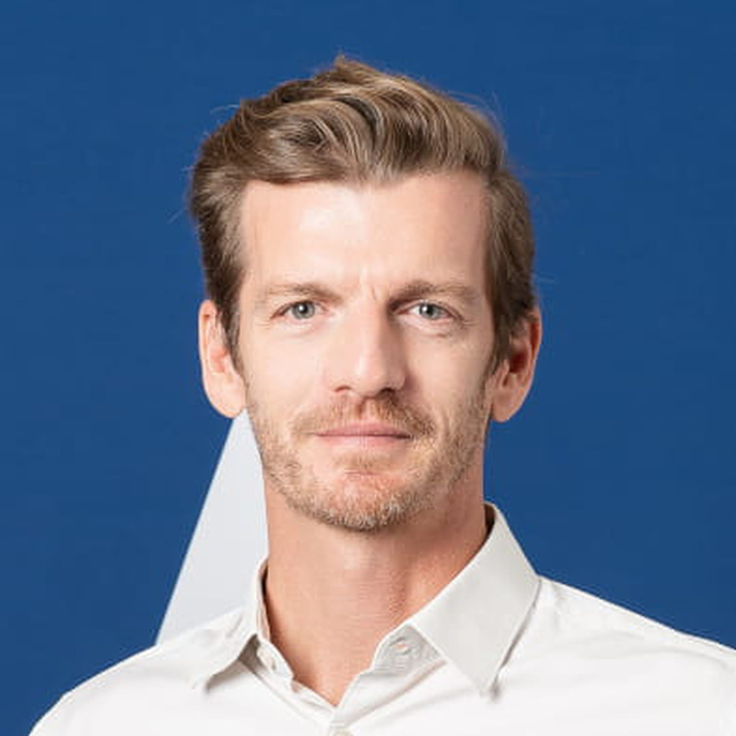 2025, l'année de l'IA Search